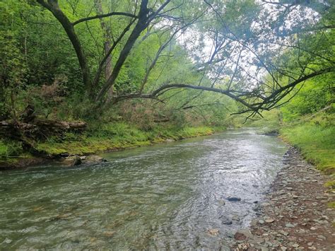 Gladden Fields Fotr Arrowtown R Lotr