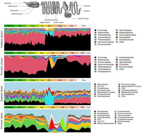 Gut Microbiome Biogeography In Reindeer Supersedes Millennia Of
