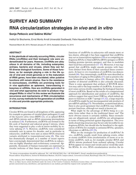 Pdf Rna Circularization Strategies In Vivo And In Vitro