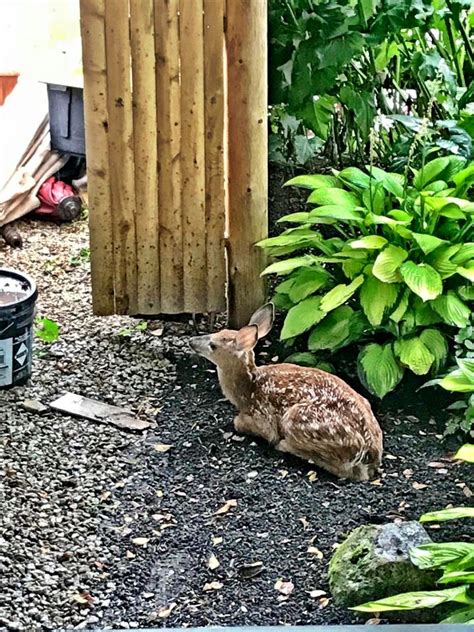 Thank You Barnacle Billys Inc And Barnacle Billys Etc Facebook