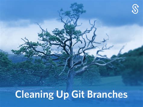 Removing Merged Git Branches