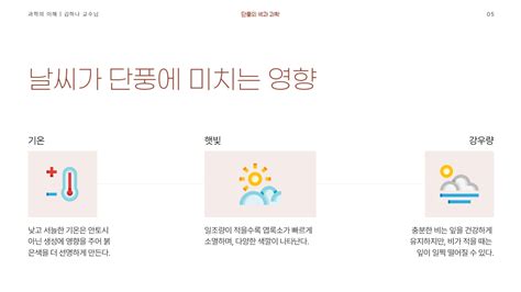 단풍 테마 발표 프레젠테이션 툴디 Tooldi