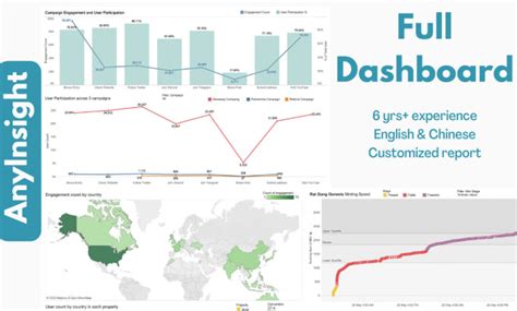 Create Bespoke Tableau Dashboards To Visualize Your Data By Anyinsight