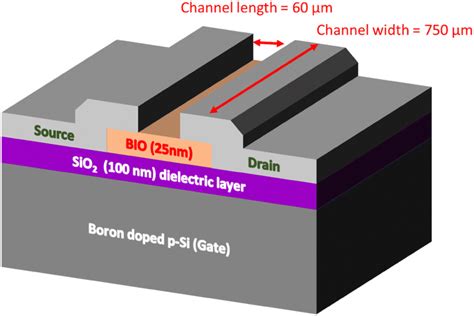 Schematic Of Bottom Gate And Top Contact Configuration Of Tft Device Download Scientific Diagram