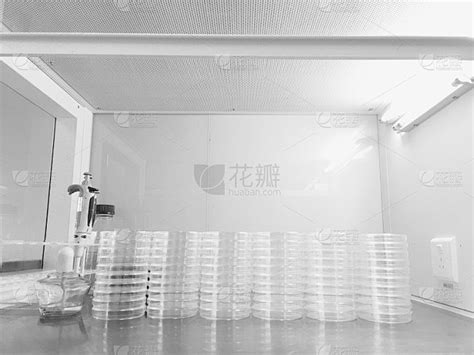 实验室培养皿，科学测试背景