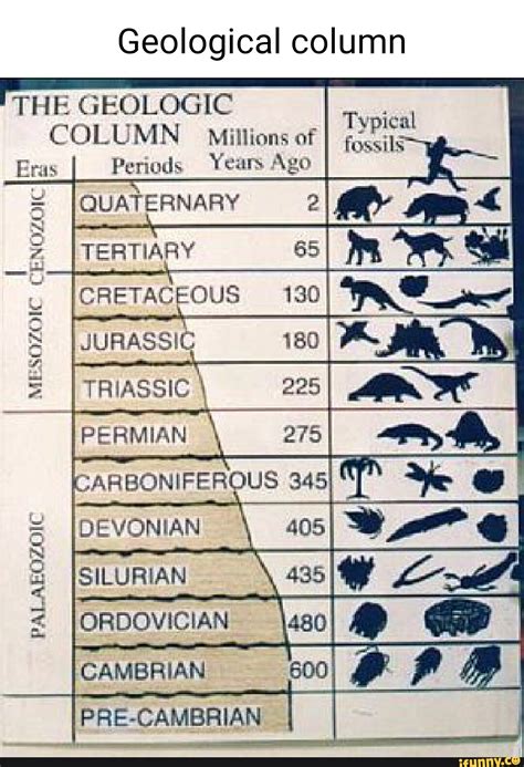 Geological Column The Geologic Tvpical Column Millions Of Fossile Periods Quaternary Tertiary