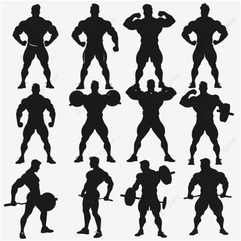 보디빌더 실루엣 세트 근육 보디 빌딩 체력 단련 Png 일러스트 및 이미지 에 대한 무료 다운로드 Pngtree