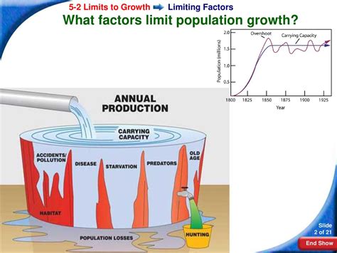 Limiting Factors In A Population
