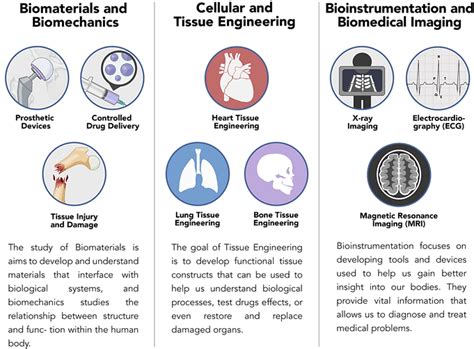 Biomed And Tissue Engineering Nextgenterc