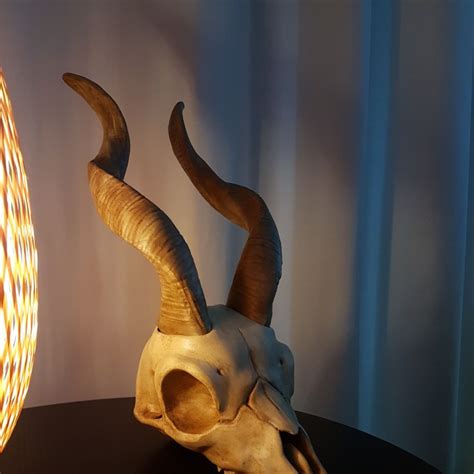 3d Print Of Markhor Skull By Abelros