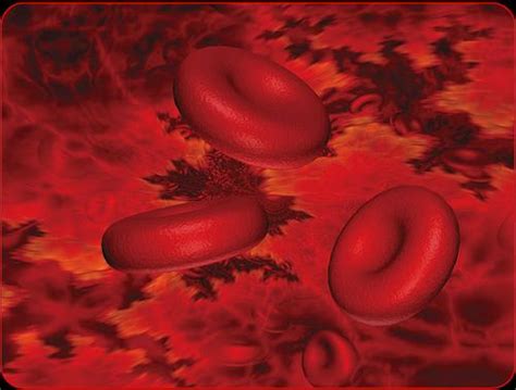 BIOMETRIA HEMATICA ESTRUCTURA Y FUNCION DE LOS ERITROCITOS