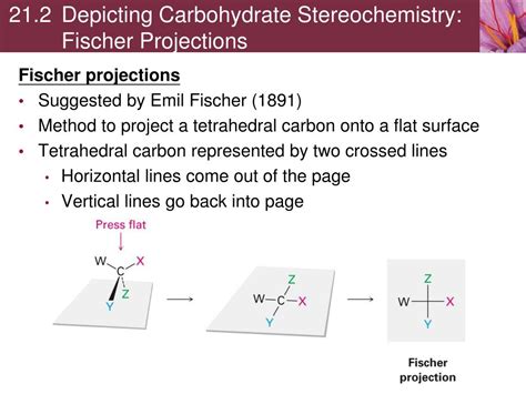 Ppt Carbohydrates Powerpoint Presentation Free Download Id3348426