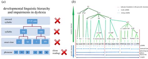 Nested Acoustic Hierarchies Contributing To Phonological And Syntactic