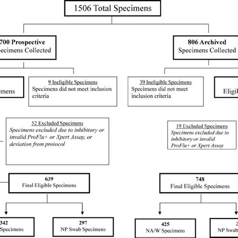 Algorithm For Specimen Evaluation Download Scientific Diagram