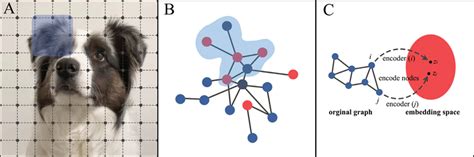 a 2d image in euclidean space the 2d convolution takes the weighted
