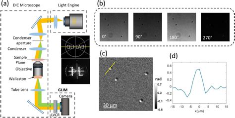 Synthetic Aperture Interference Light Sail Microscopy For High