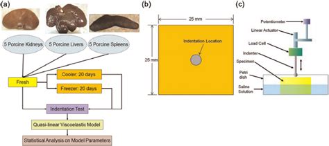A Overall Test Procedure B Indentation Location Of Each Specimen