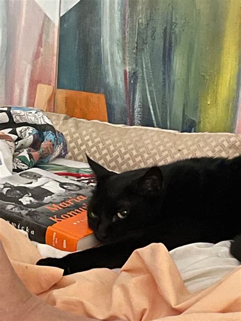 ‘do Good Anyway — Jan Gajewski