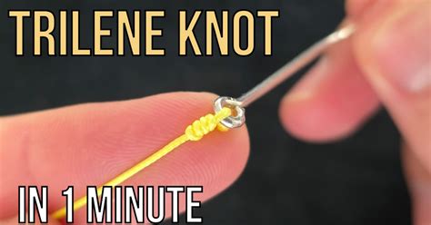 How To Tie Fishing Knots The Trilene Knot Small Knot Big Confidence