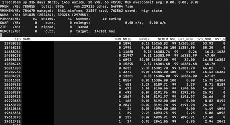 Vmware Performance Numa Scheduling Vm Infrastructure