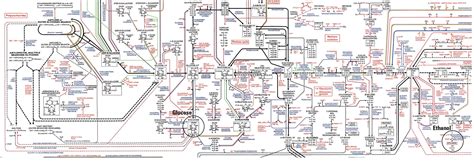 Metabolic Map Tumblr