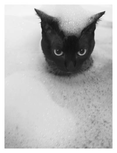 Austinite Spa Bandw Tumbex