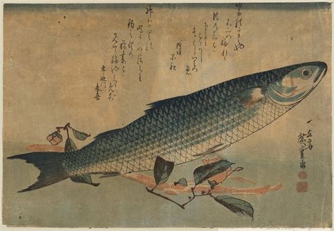 Boras Images Free Photos Png Stickers Wallpapers And Backgrounds Rawpixel