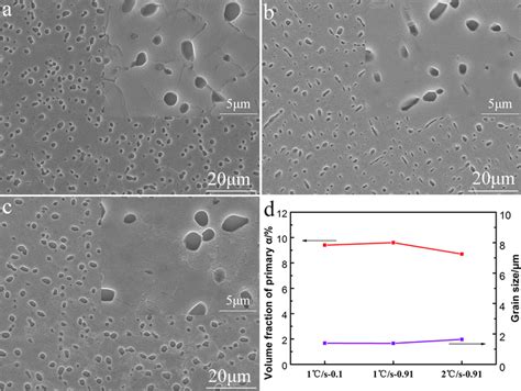 Deformation Microstructure Under Various Deformation Conditions A 1 Download Scientific
