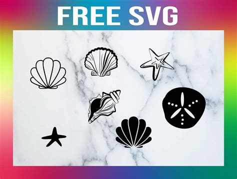 Free Sea Shell Svg Cut Files Free Silhouette Cut Files Svg Tutorial