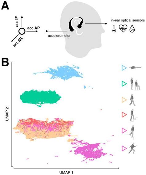 Sensors Mdpi On Linkedin Human Activity Recognition In A Free Living Environment Using An Ear Worn