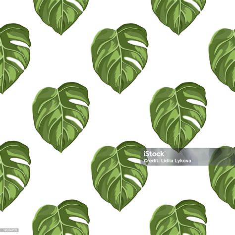 흰색 배경에 열대 원활한 패턴 잎 몬스터 녹색 추상적 인 질감 장식 종려나무 잎에 대한 스톡 벡터 아트 및 기타 이미지 종려