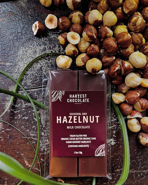 Hazelnut Milk Chocolate Luxurious Treat From Harvest Chocolate