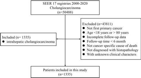 The Optimal Number Of Examined Lymph Nodes For Cancer Specific Death Of