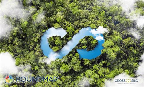 The Strive And Thrive Cycle Distinquishing Between Value And Impact Roundmap® Regenerative