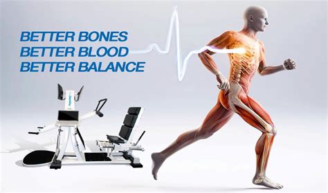 Osteogenic Loading How Can It Help Musculoskeletal Systems