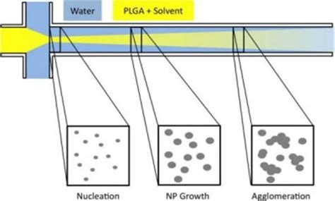 Lipid Nanoparticle Lnp Generation In Microfluidics