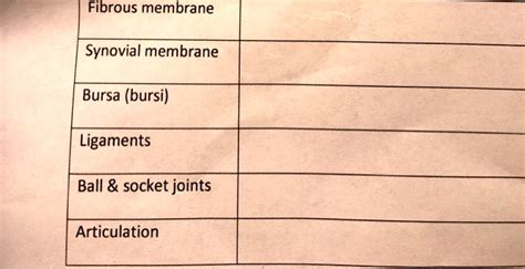 Solved Fibrous Membrane Synovial Membrane Bursa Bursae Ligaments Ball Socket Joints Articulation