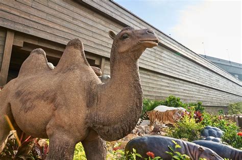 Noah S Ark Hong Kong Dan Ma Wan Park Buka Kembali 29 Mei 2020