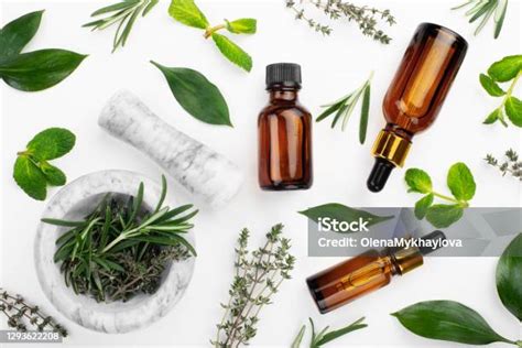 흰색 테이블 평면 평신도에 허브와 기름과 박격포 드롭퍼 병 허브 화장품 컨셉 에센셜 오일에 대한 스톡 사진 및 기타 이미지 에센셜 오일 막자와 막자사발 하이 앵글