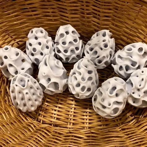 Attractor Field Rrhinograsshopper