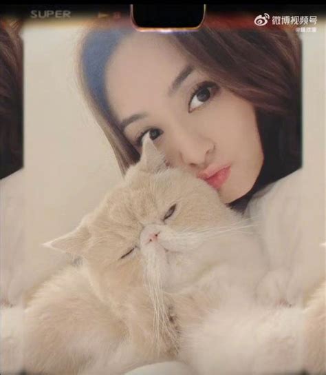 阿娇晒与宠物猫日常照 嘟嘴贴脸画面亲昵可爱 新浪图片