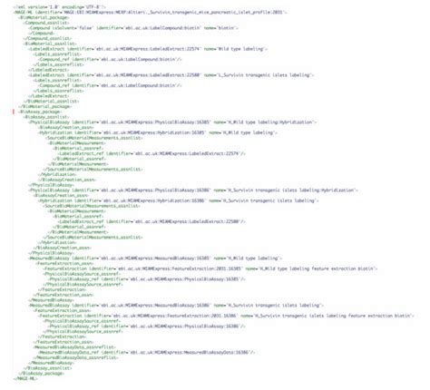 The Result Of Executing The Translation Defined By Trans Example Xml Download Scientific