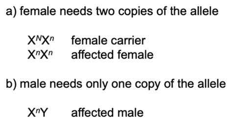 Chapter Chromosomal Basis Of Inheritance Flashcards Quizlet