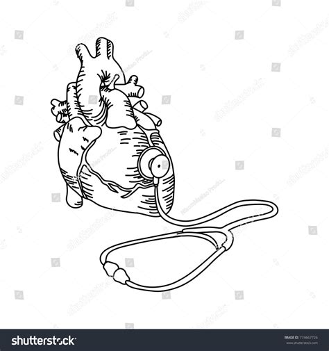 Human Heart Stethoscope Vector Illustration Outline Stock Vector