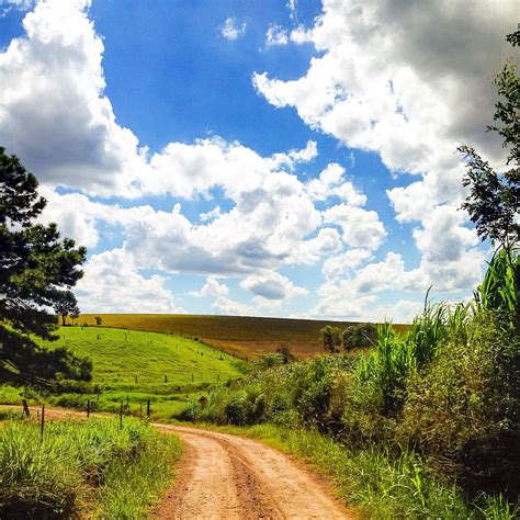 Mais De 200 Imagens Grátis De Roça E Minas Gerais Pixabay