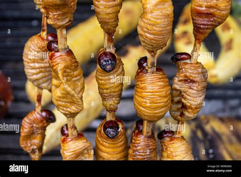 Fried Suri Worms On A Stick Peruvian Food Grilled Worms From The