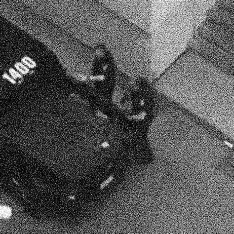 Llllllllllllllllllllllll Ten Thousand Dicks Rot Off Over The Course Of An Hour