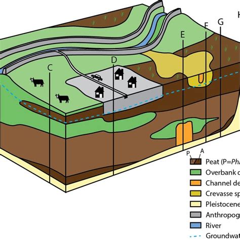 Schematic Representation Of The Lithological Subsurface Composition Of