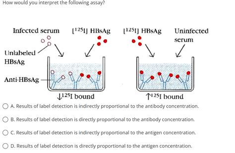 Solved How Would You Interpret The Following Assay A