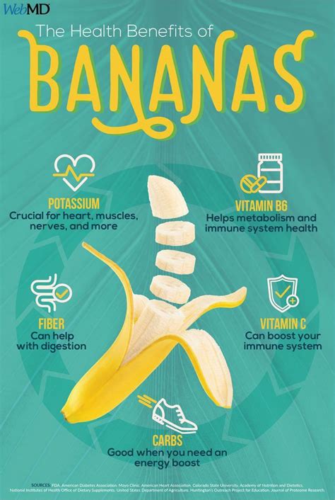 Pin By Fbc On English Language Banana Health Benefits Banana
